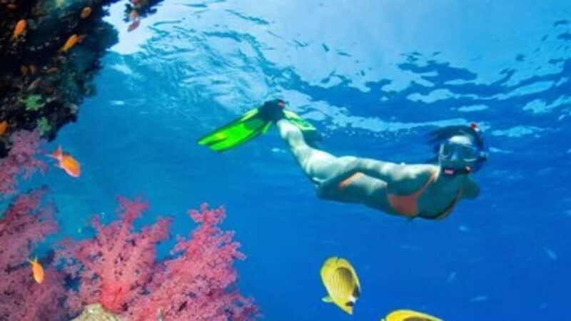 Private: Sosua Bay Snorkeling Tour with Hotel Pickup - An In-Depth Look at the Sosua Bay Snorkeling Tour