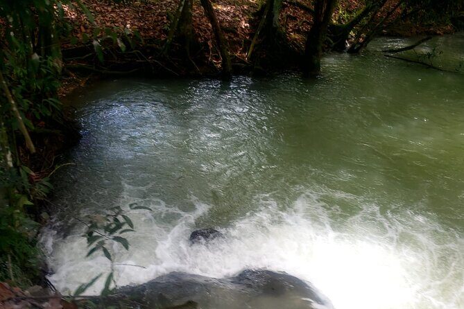 Private South Coast Floyd Pelican Bar & YS Fall fr. Montego Bay - Final Thoughts: Is This Tour Right for You?