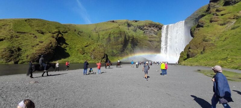 Private South Coast Tour from Reykjavik - Who Should Consider This Tour?
