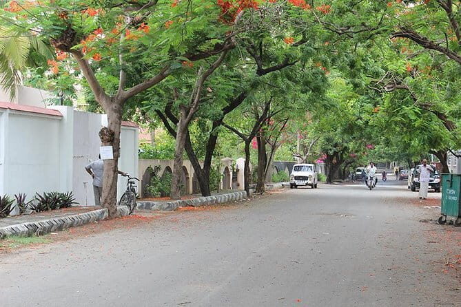 Private South Indian Vegetarian Dining with a Local Near the Chennai Airport - The Sum Up