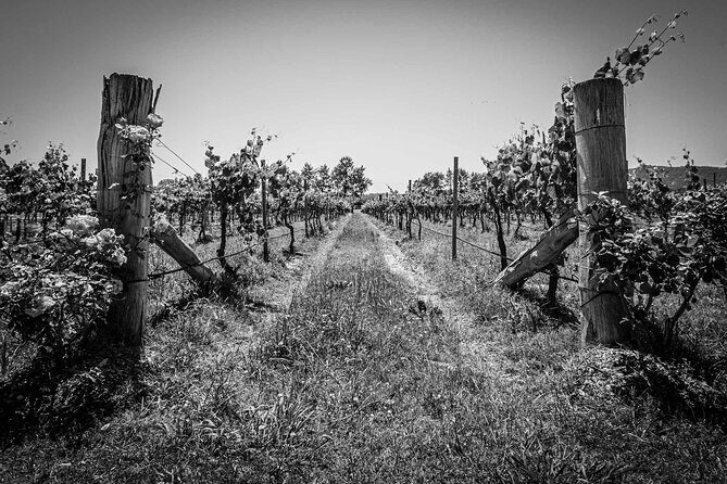 Private Southern Highlands Luxury Wine Indulgence Tour - The Experience: What Travelers Say