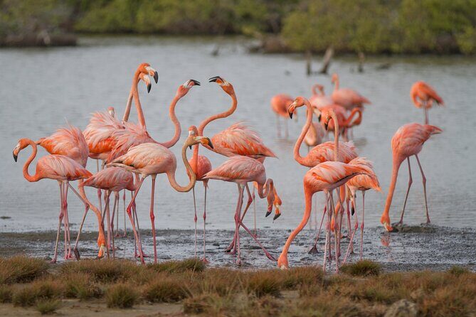 Private Southern Island Tour Including Family Photoshoot - Authentic Experiences and Authentic Value