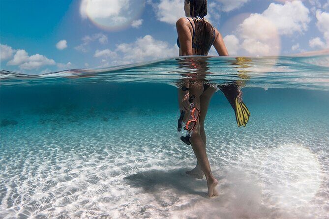 Private Southern Island Tour Including Family Photoshoot - Who Will Love This Tour?