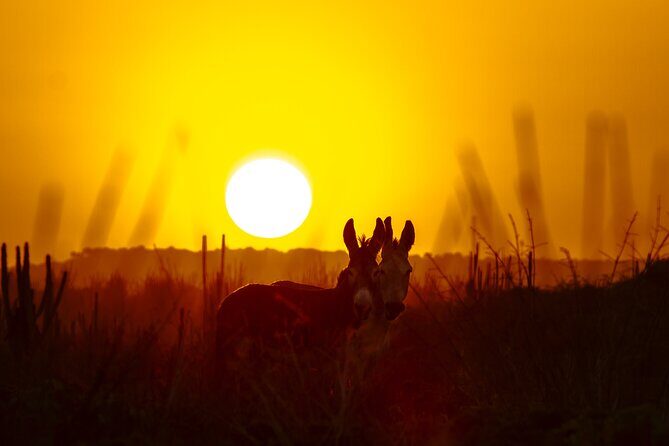 Private Southern Island Tour Including Family Photoshoot - FAQ