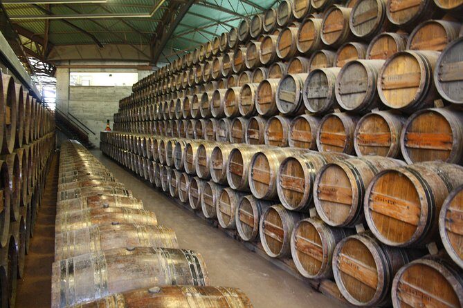 Private Special Tour Around Lisbon and Wine Tasting - Unpacking the Tour: From Iconic Statues to Scenic Views