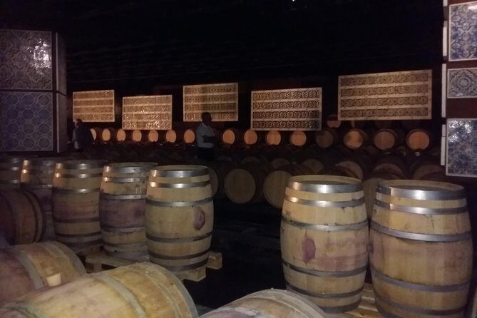 Private Special Tour Around Lisbon and Wine Tasting - Who is this Tour Best For?