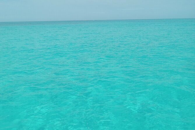 Private speed boat beach and bar hopping visiting Rose island - Key Points