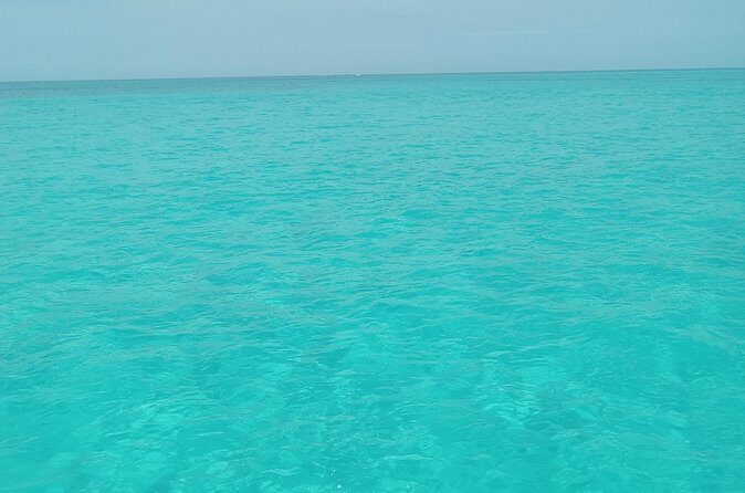 Private speed boat beach and bar hopping visiting Rose island - Authentic Experiences and Real Traveler Feedback