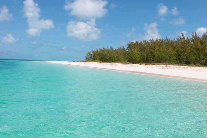 Private Speed Boat for Snorkeling or Fishing in Nassau - 34ft - The Sum Up: Is It Worth It?