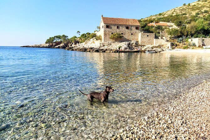 Private Speed Boat Tour of Hvar South Shore & Pakleni islands - FAQ