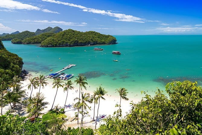 Private Speedboat Koh Tan & Pig Island Snorkeling from Samui - Who Will Appreciate This Tour?