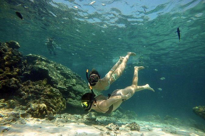 Private Speedboat Maiton, Racha, and Coral Islands Tour from Phuket - The Sum Up