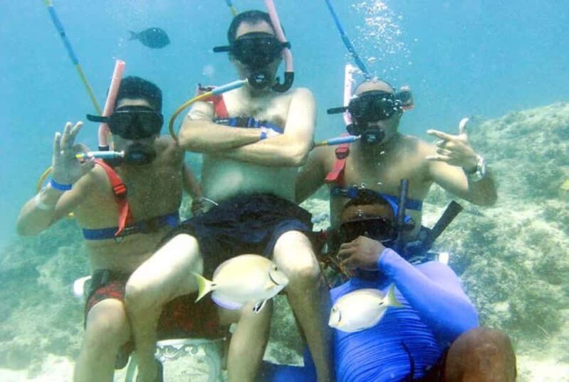 Private Speedboat, Snuba & Catamaran Adventure  Punta Cana - Why This Tour Offers Good Value