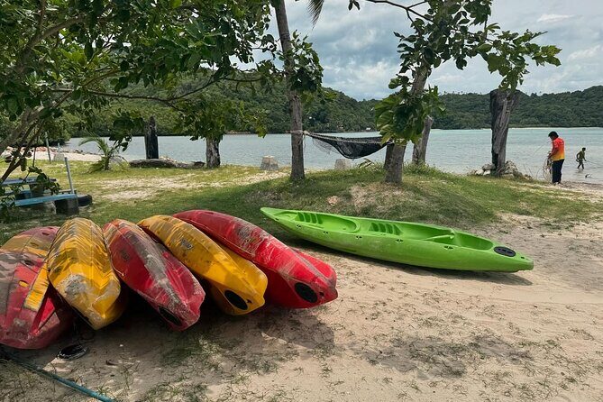 Private Speedboat tour to Koh Madsum (Pig Island) & Koh Tan - Who Will Love This Tour?