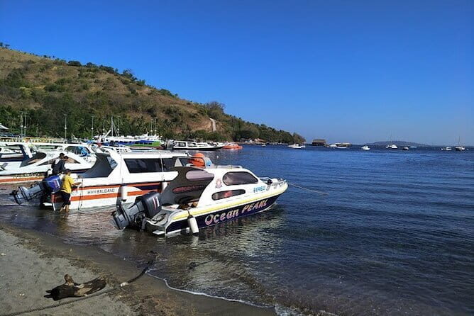Private Speedboat transfer Between Lombok and Gili Islands - What You Can Expect on This Speedboat Transfer