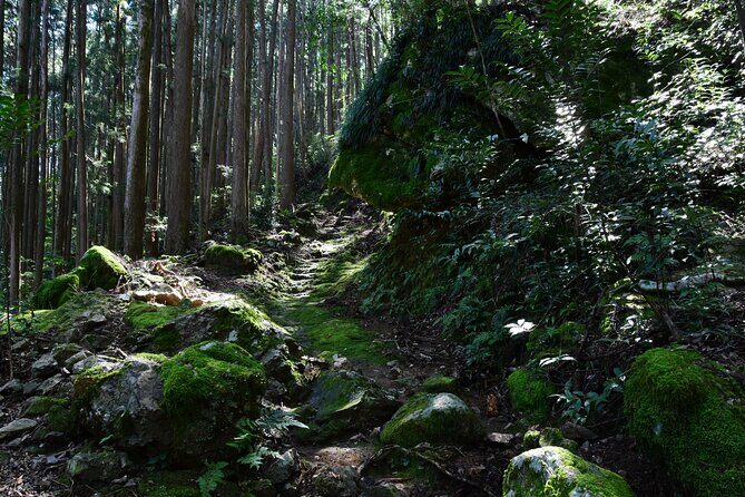 Private Spiritual Hike in Hidakamura with Mountain Monk - Final Thoughts on Value and Experience