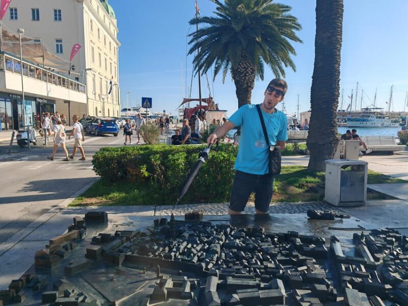 Private Split and Trogir Guided Walk Tour Cruise Ship Pickup - Why Choose This Tour?