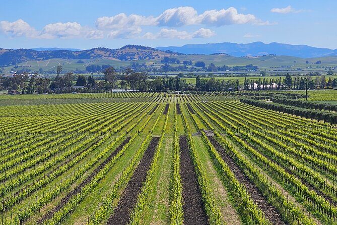 Private Sprinter Tour of Napa Valley - Introducing the Private Sprinter Tour of Napa Valley