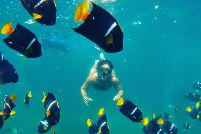 Private Stand Up Paddle Experience in Los Arcos Jalisco - Key Points