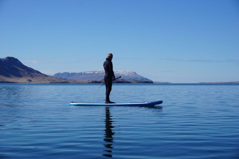 Private Stand Up Paddle Into The Forgotten Fjord - An In-Depth Look at the Tour Experience