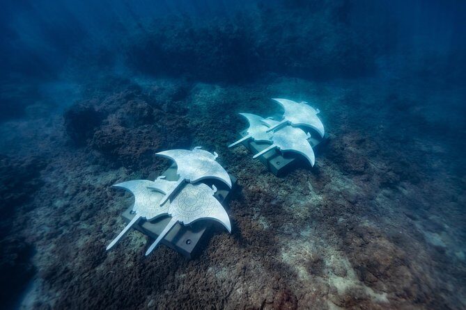 Private Standard Charter Experience in Whitsundays - Frequently Asked Questions