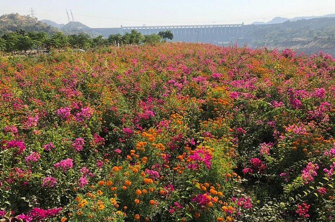 Private Statue of Unity Tour From Ahmedabad - Final Thoughts: Is This Tour for You?