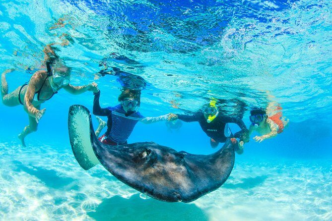 Private Stingray City and Snorkeling Half Day Charter for 6 Guest - An In-Depth Look at the Itinerary and What to Expect