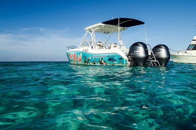 Private Stingray City Snorkeling and BioBay Charter for 10 Guests - Who Will Love This Tour?