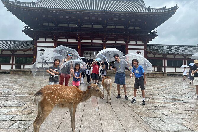 Private Story in Nara about Deer, Buddha, and You - Key Points