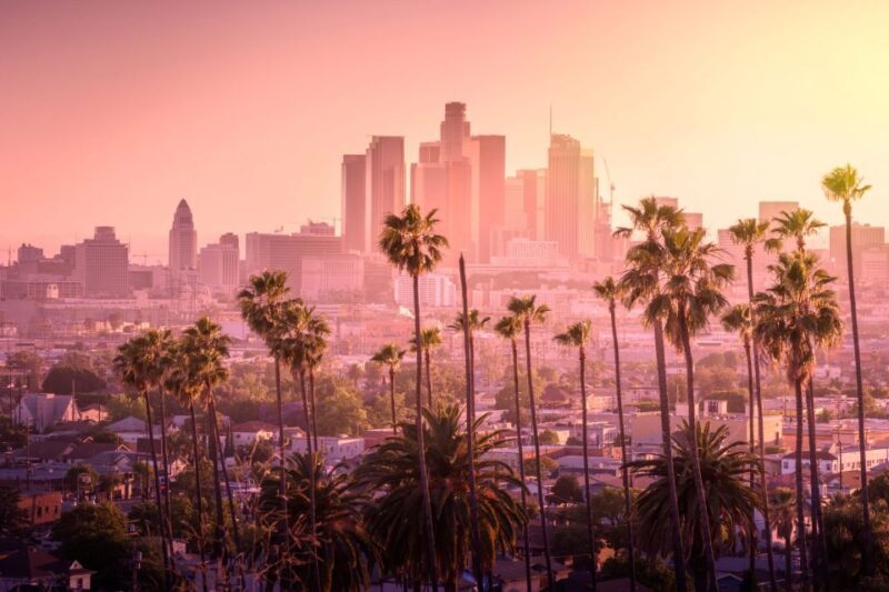 Private Street Art Tour in Los Angeles - Why Choose This Tour?