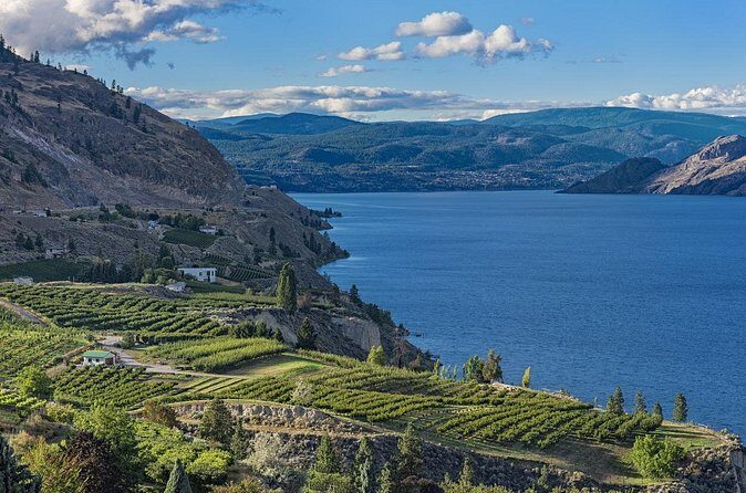 Private Summerlands Bottleneck Drive Wine Tour from Kelowna - Who Will Enjoy This Tour?