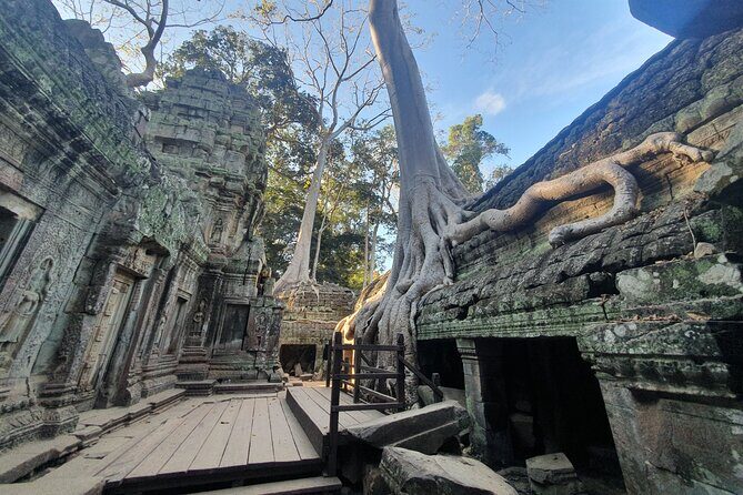 Private Sunrise and Sunset Angkor Park Tour with Rest Mid-Day - Authentic Experiences and Reviews