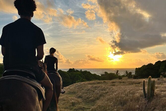 Private Sunrise Horseback Beach Ride with Sandy Hoofs St. Lucia - Introduction