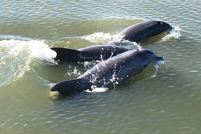 Private Sunset BYOB Boat Ride on Southern Charm - Key Points