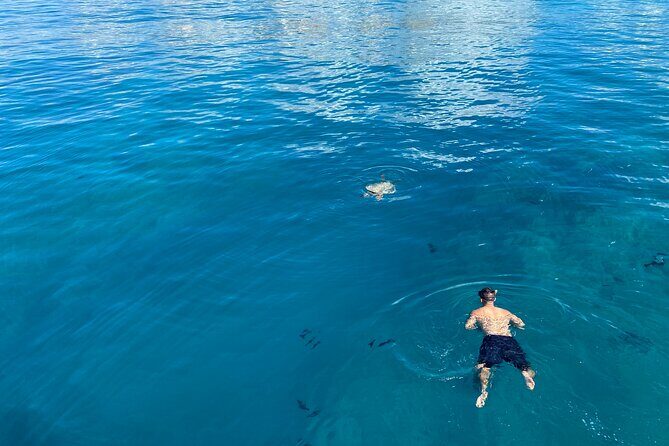 Private Sunset Catamaran Cruise in Waikiki - The Experience and the Guides: What Travelers Say