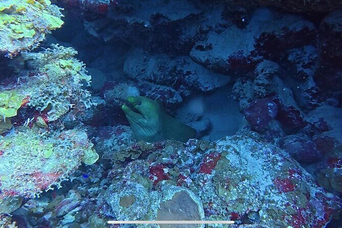 Private Sunset Cruise in Bonaire with Snorkeling - The Practical Details