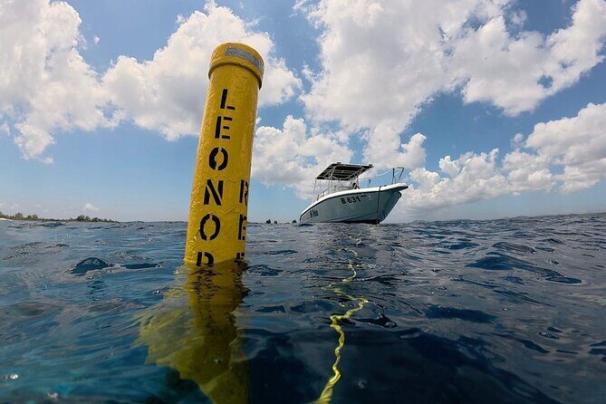 Private Sunset Cruise in Bonaire with Snorkeling - Final Thoughts: Is This Tour Right for You?