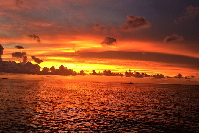Private Sunset Cruise in Key Largo - In-Depth Look at the Reviews