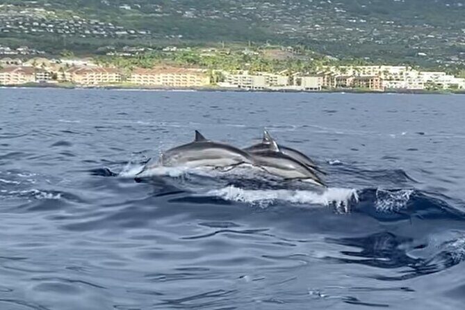 Private Sunset Cruise in Kona - Authentic Traveler Insights and Expectations