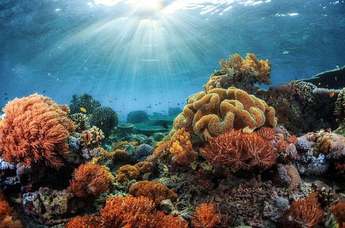 Private Sunset Cruise in Kona - Who This Cruise Is Perfect For