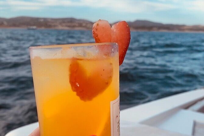 Private Sunset Cruise in San Jose del Cabo Appetizers,open bar - Who Should Consider This Tour?