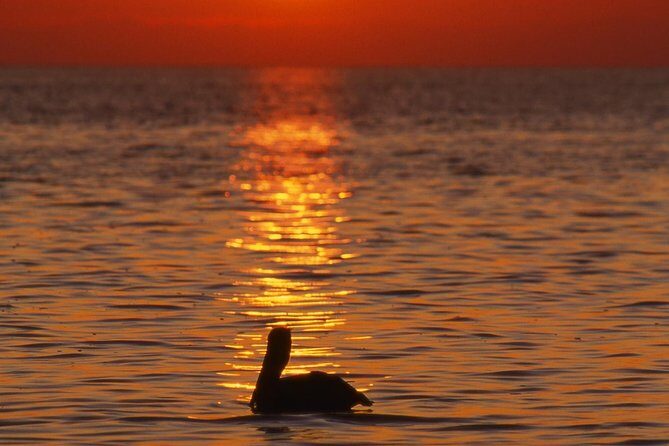 Private Sunset Cruise South Padre Island - Practical Details: Logistics, Cost, and Booking