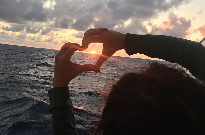 Private Sunset Harbor Sail (25 Max) - The Sum Up