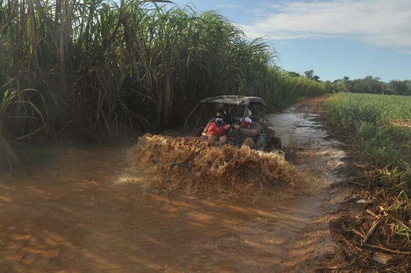 Private: Sunset Horseback Experience  Macao Forest & Beach - An Overview of the Experience
