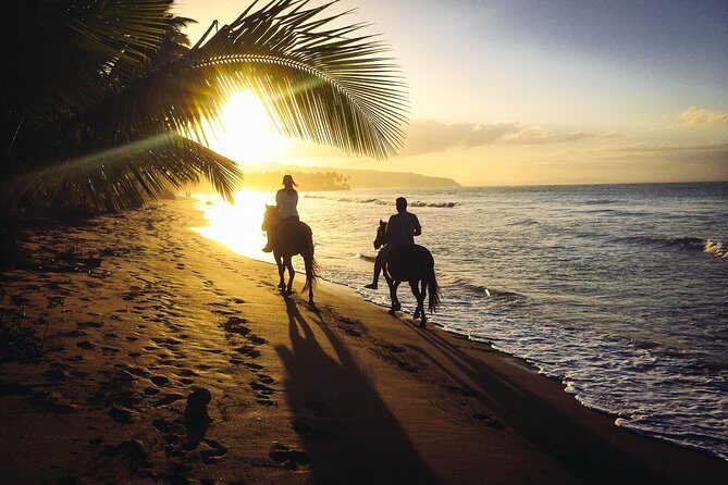 Private Sunset Horseback Riding in punta cana beach - Key Points