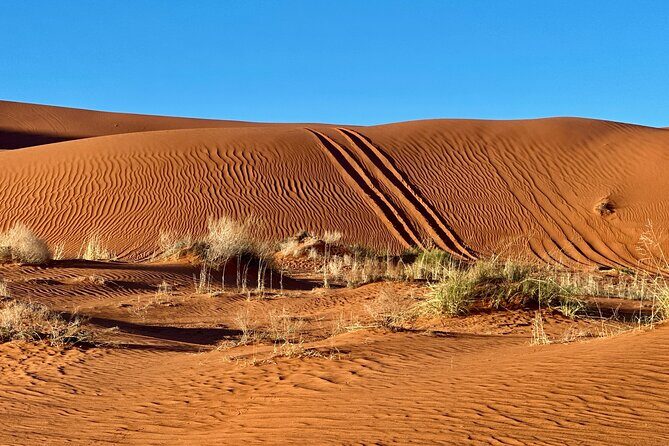 Private Sunset Jeep Ride to Sand Mountain - Why This Tour Offers Great Value
