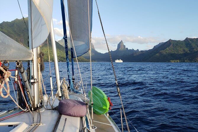 Private Sunset Sailing Excursion Sail yourself Mori Ora - The Experience Through Guests’ Eyes