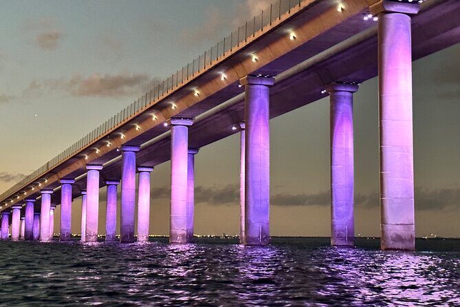 Private Sunset & Skyway Bridge Lights Tour in St. Petersburg, FL - Practicalities & Considerations