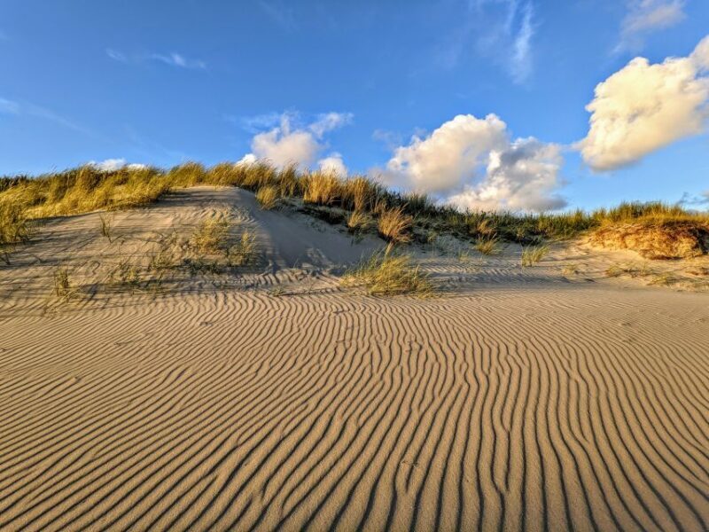 Private Sunset Tour of Issos Sandhills - The Sum Up: Worth the Experience