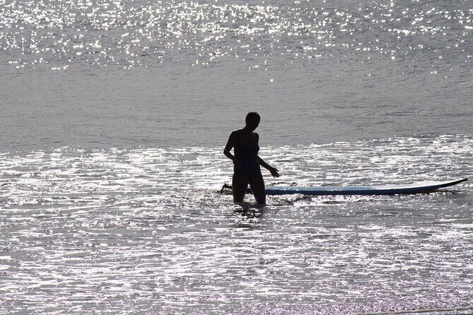 Private Surf Coaching Session in New South Wales - The Sum Up: Is It Worth It?